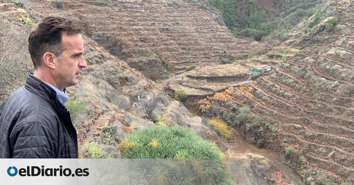 David Forer: “La dificultad de la viticultura es un elemento ...