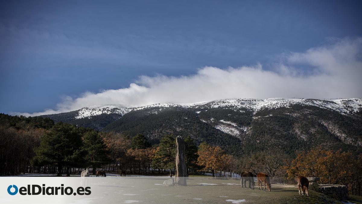 Parques Nacionales compra un histórico pinar en Madrid para protegerlo