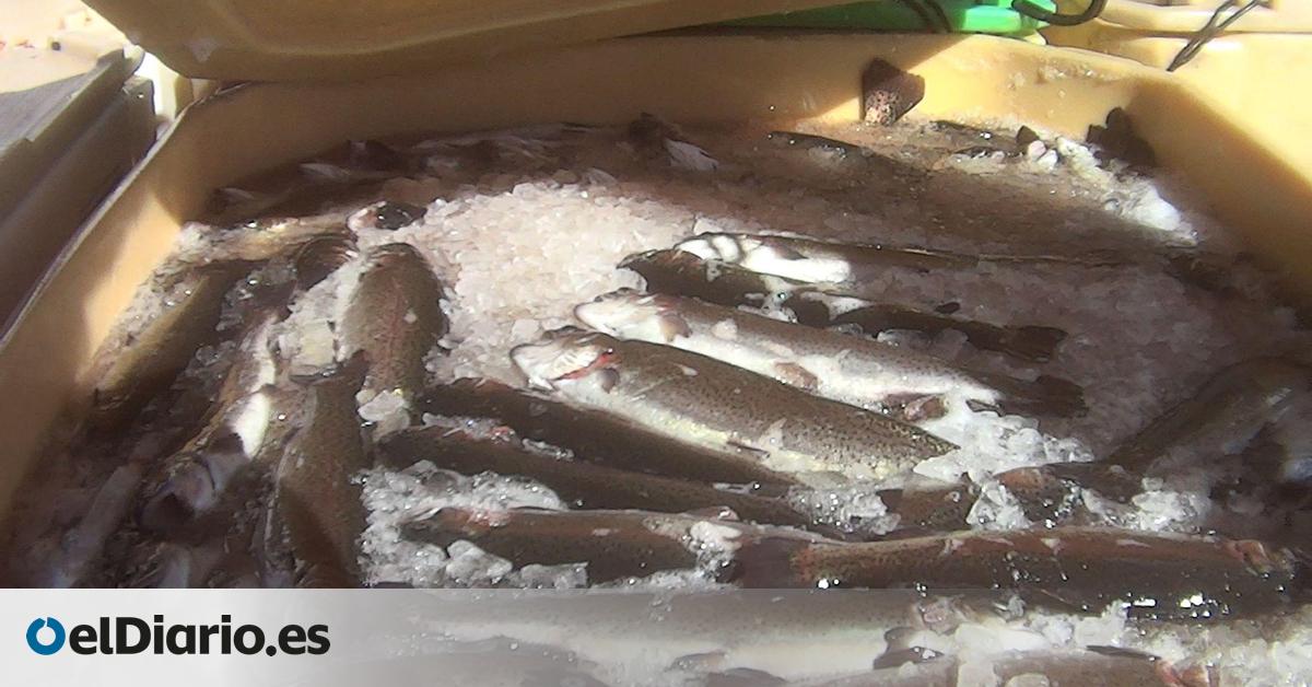 Castilla-La Mancha declara como 'proyecto prioritario' una ...