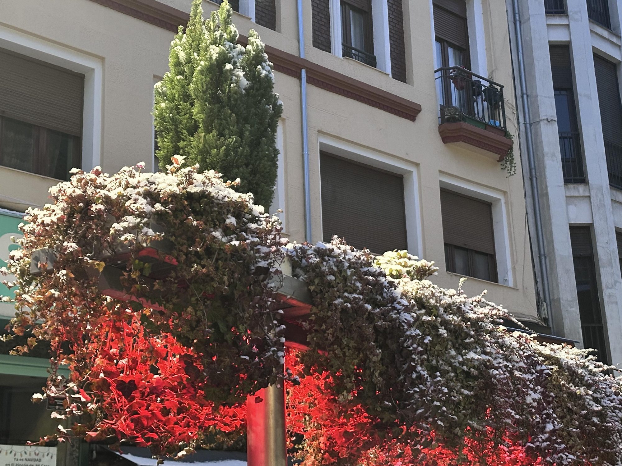 Postales de León nevado: las imágenes que deja la primera nevada del ...