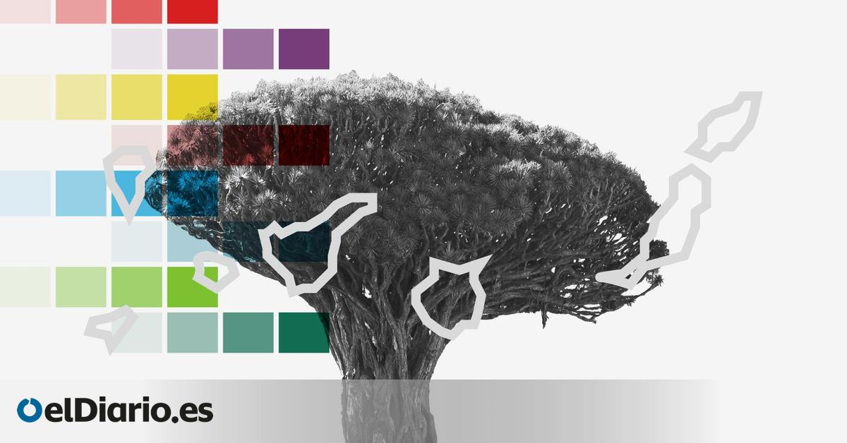 Elecciones 28M en Canarias 2023: resultados por municipio - elDiario.es