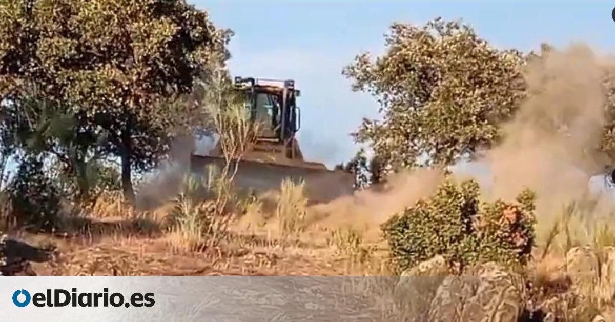El fuego de Talaván, Cáceres, queda estabilizado y ahora se refresca la ...