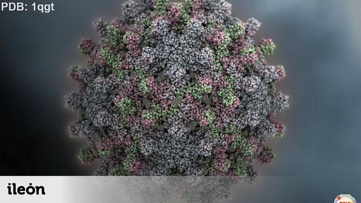 Día Mundial de las Hepatitis y el 70% desconoce que la porte