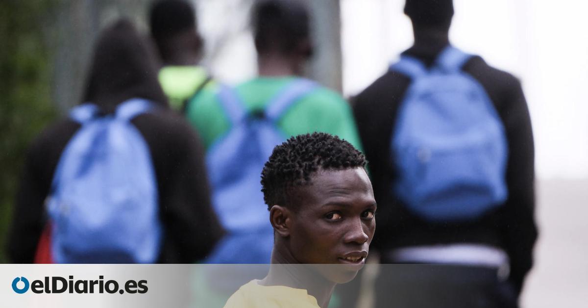 X-ray of the inspection of migrant minor centers: only 28 controls in ...