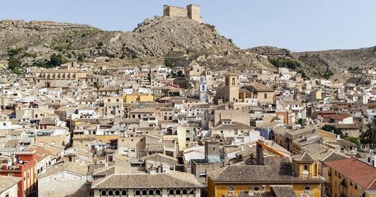 Mula: mucho por descubrir