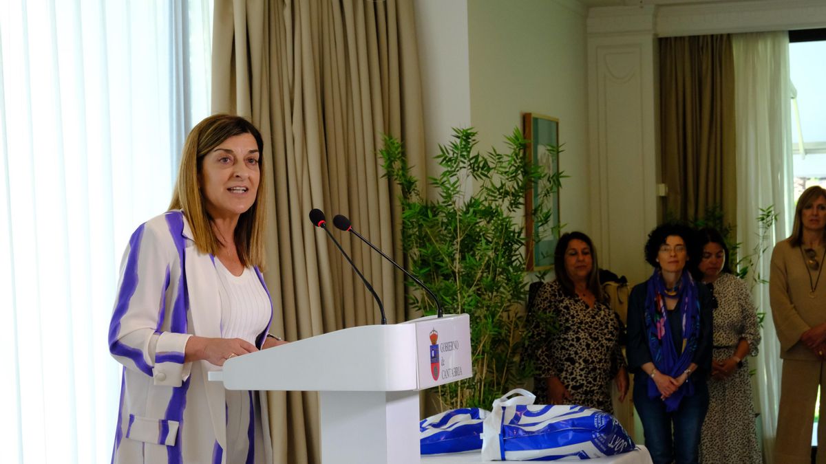 Cantabria autorizará este viernes presentar el recurso al Supremo para ...