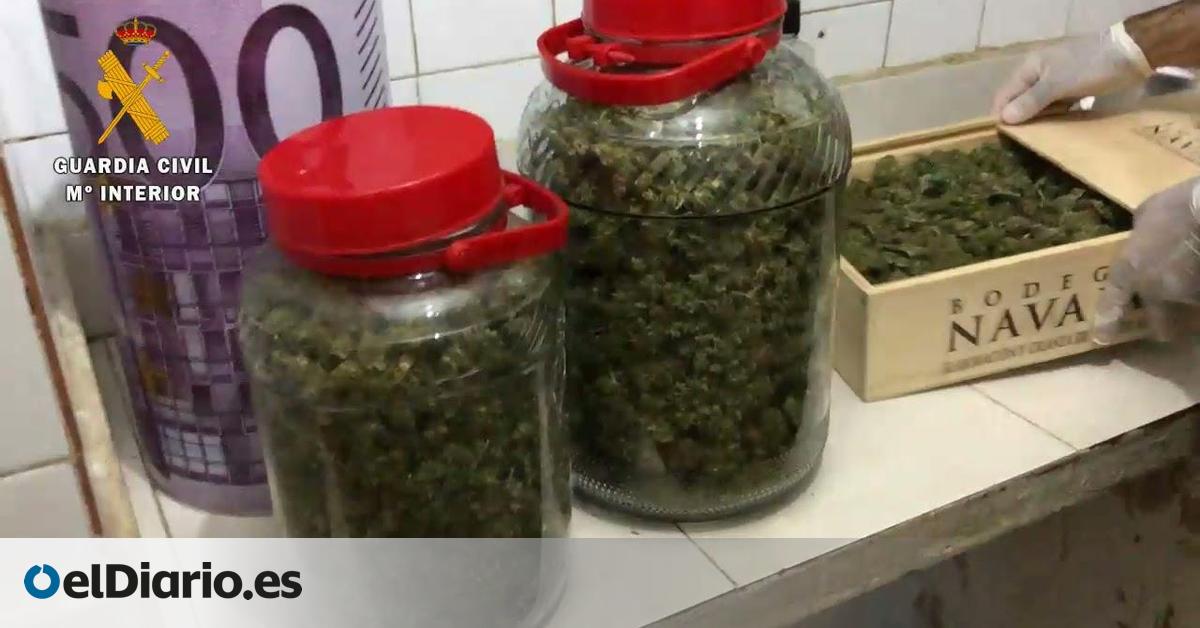 Desarticulado un clan familiar que controlaba un supermercado de marihuana en Calahorra