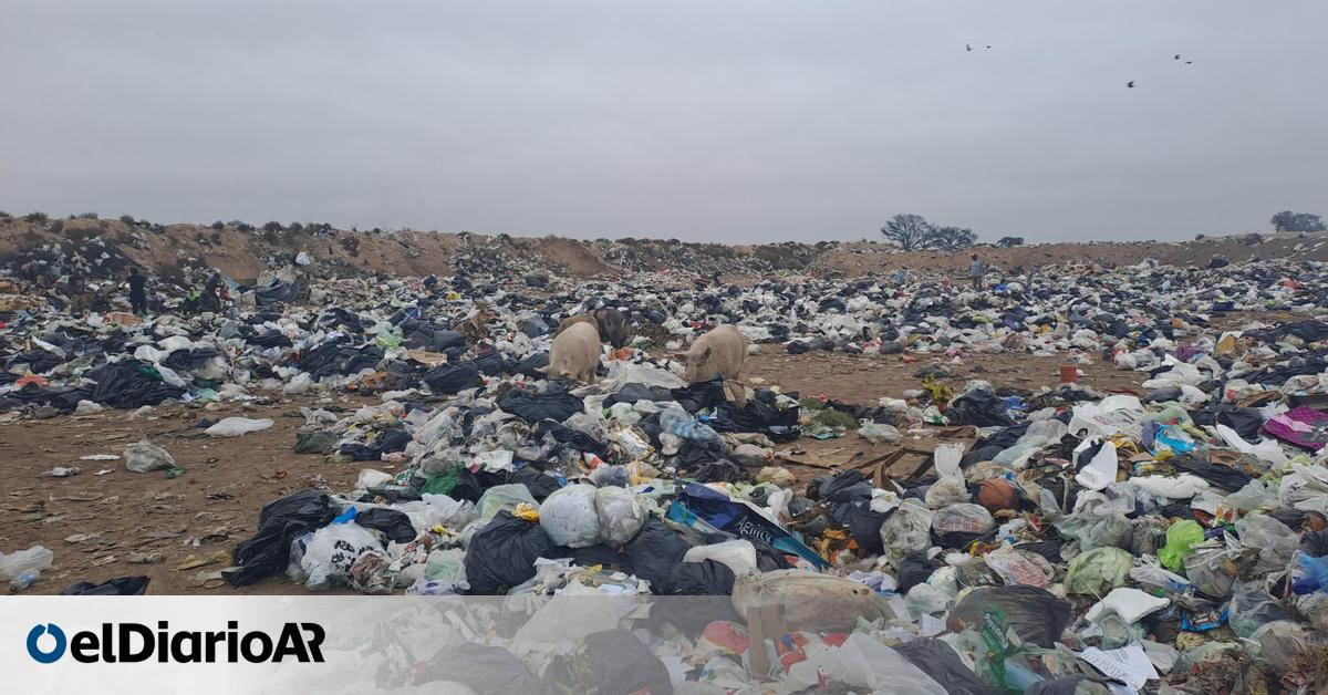 "Soy criada en un basural", historias del vertedero más grande de ...